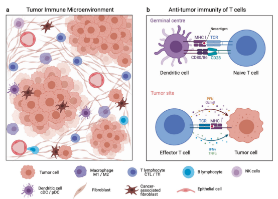 【医药.Design】深度学习&AIDD如何颠覆免疫药物开 - 知乎