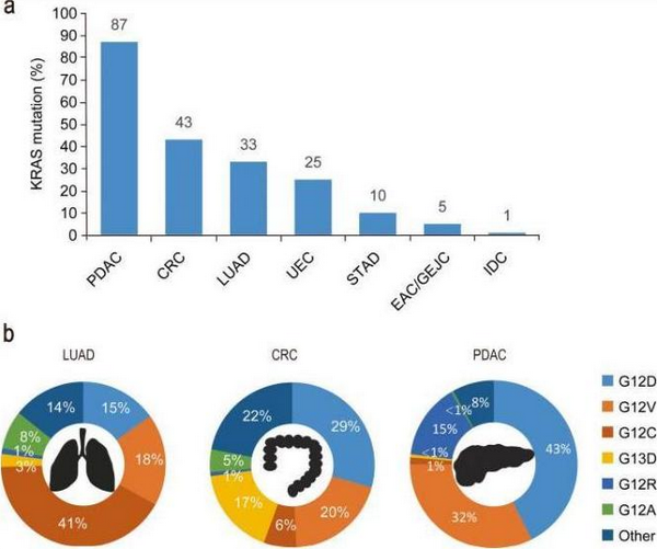 CRISPR/Cas9助力攻克癌症肿瘤“大魔王”——KRAS - 知乎