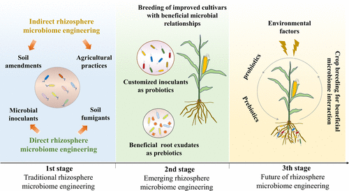 合成微生物群落（Syncom）丨一家人就要整整齐齐 - 知乎