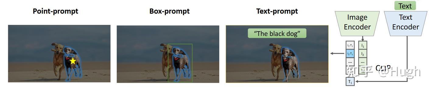 FastSAM: Fast Segment Anything论文笔记 - 知乎