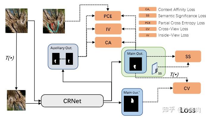 Weakly Supervised Camouflaged Object Detection With Scribble Annotations 知乎