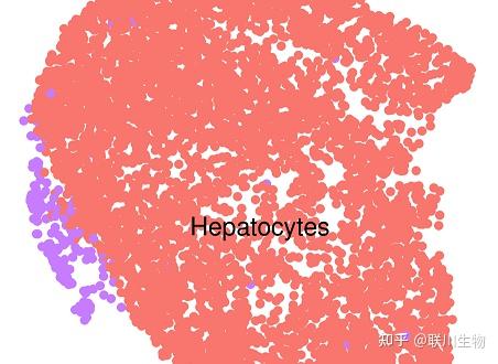 两款自动注释软件-SingleR和scCATCH的原理与使用差异 - 知乎
