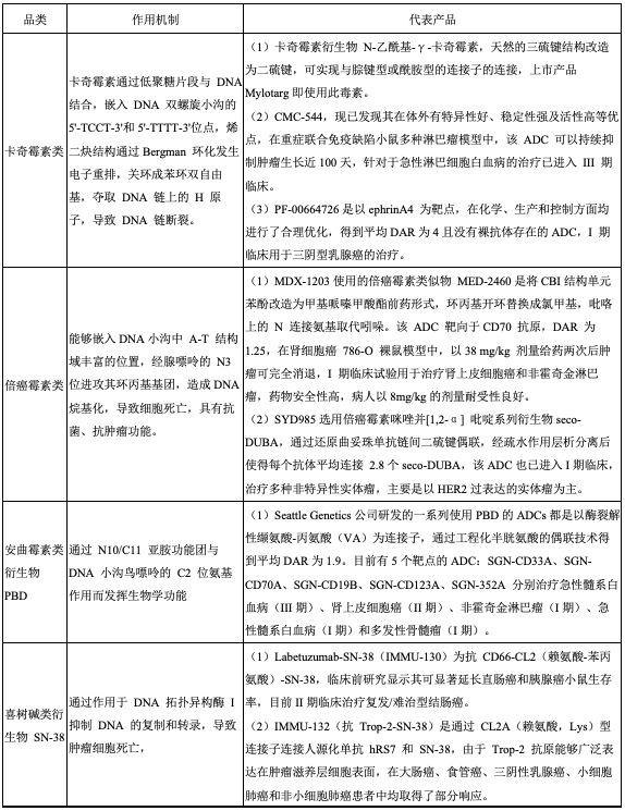 抗体药物偶联物（Antibody-drug conjugate, ADC）的发展 | 多维海拓行研 - 知乎