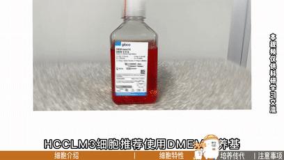 HCCLM3细胞培养，人高转移肝癌细胞培养攻略-丰晖生物 - 知乎