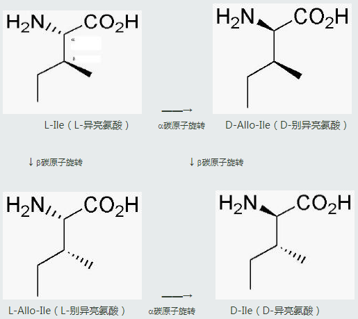 D-Ile的正确描述 - 知乎