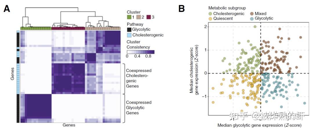 一致性/共识聚类 Consensus Clustering - 知乎