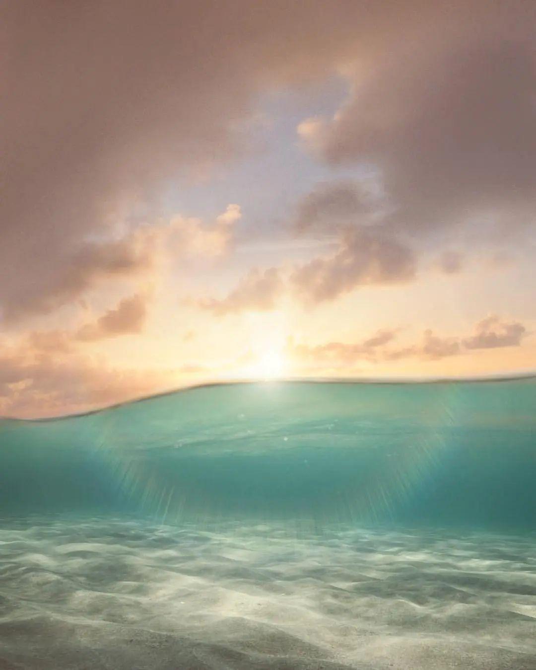 Benjamin Everett|发现自然的温柔 - 知乎