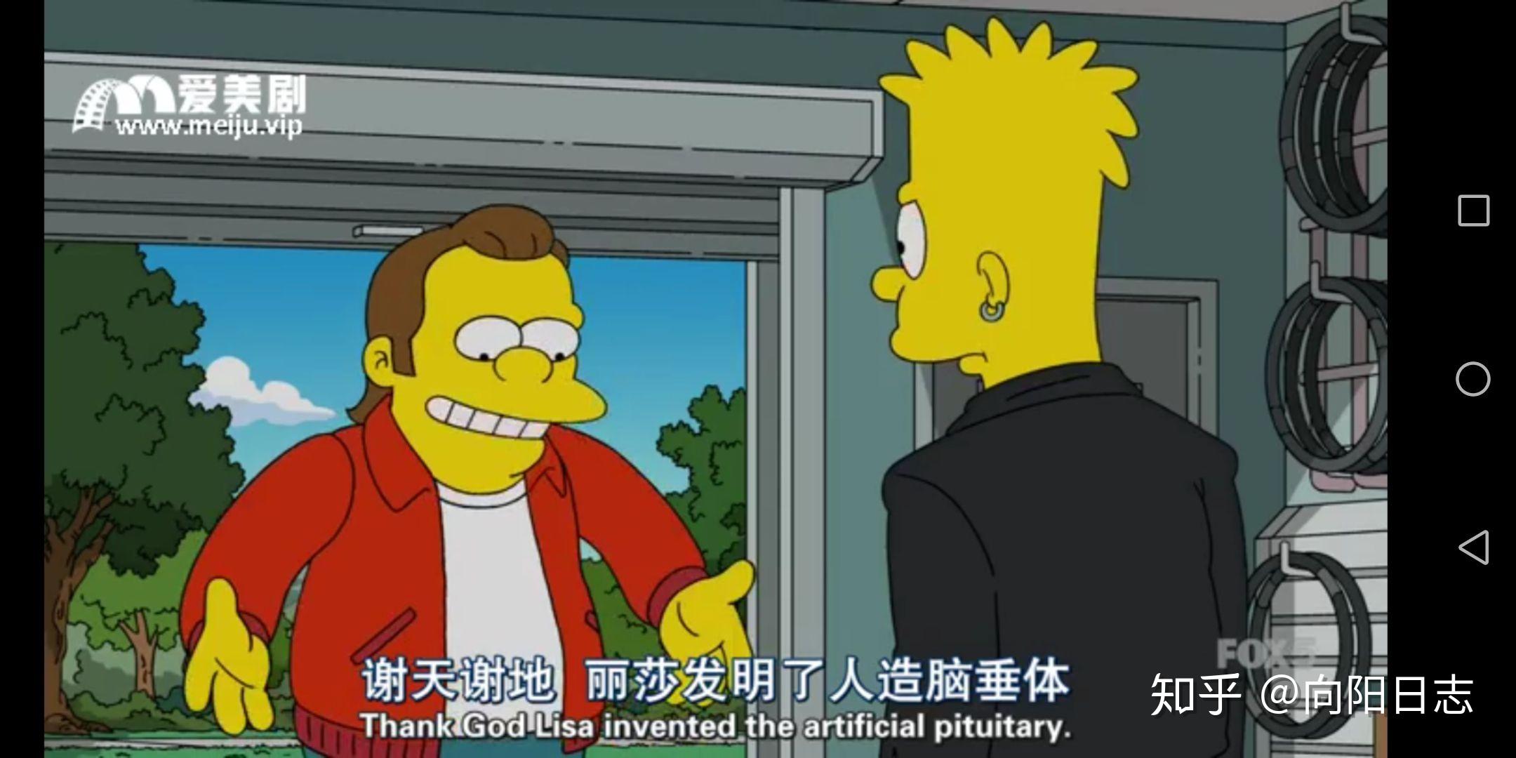 辛普森一家应该从哪一季开始看呢？ 知乎