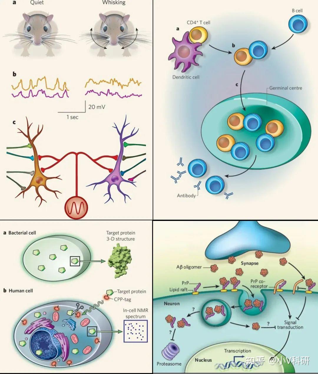 拯救绘图小白！6000张Nature&Science期刊官方插图已打包！附赠科研与临床绘图PPT素材 - 知乎