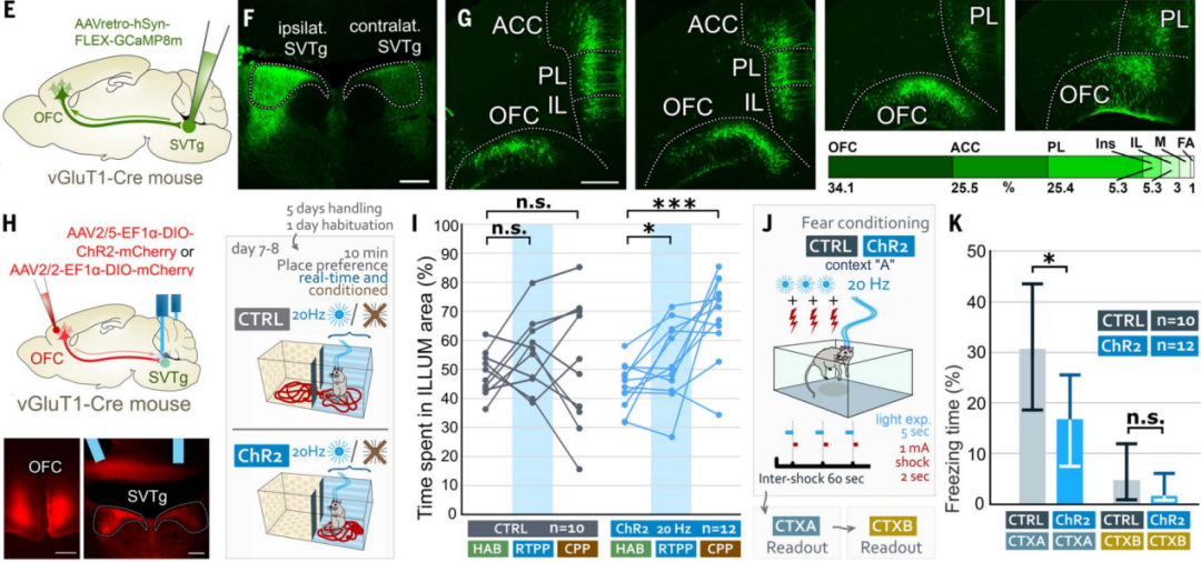 客户文章丨Science丨揭秘新奖赏中枢：从神秘核团到情绪密码 - 知乎