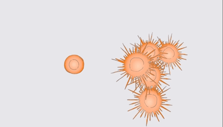 新辅助药Nivolumab用于可切除的默克尔细胞癌 - 知乎