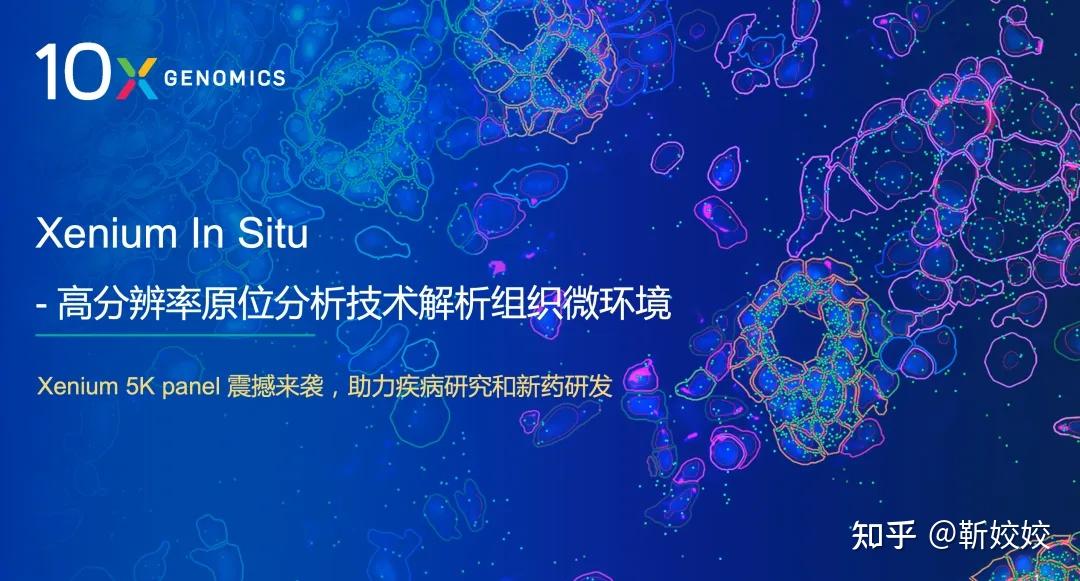 突破！10x Xenium技术基因原位检测新高度空间生物学文章大爆发？ - 知乎