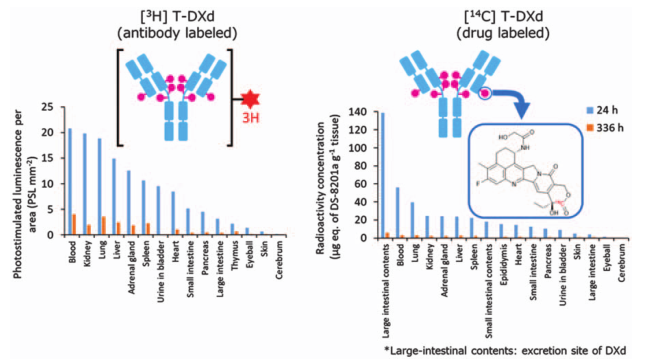回顾“神药T-DXd（DS-8201）”的研发历程 - 知乎