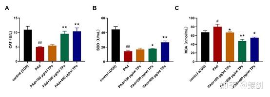 棕榈酸（钠）刺激人克隆结肠癌Caco-2细胞构建高脂膳食模式下的紧密连接蛋白损伤模型 - 知乎