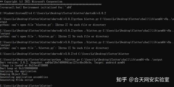 【flutter对抗】blutter使用+ACTF习题 - 知乎