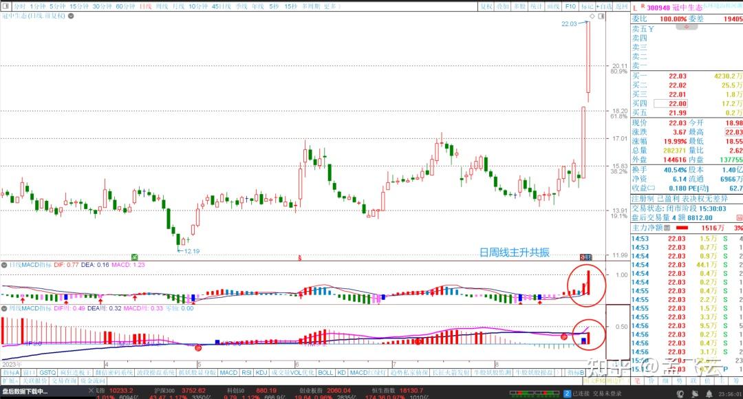 日线MACD和周线MACD副图指标同屏两副图，安全买点和抓主升技术分解 - 知乎