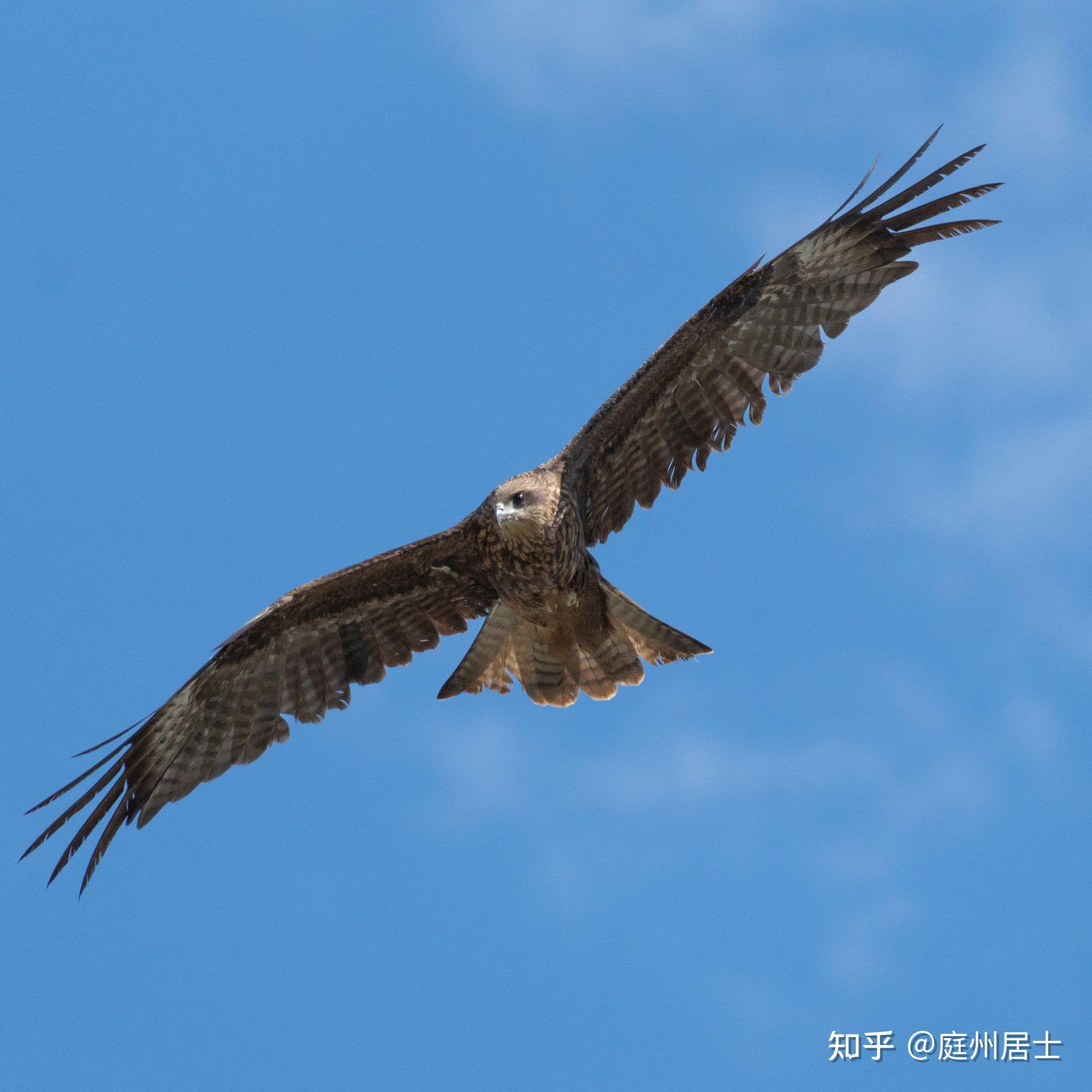 索尼70-350g综合体验(多图) - 知乎