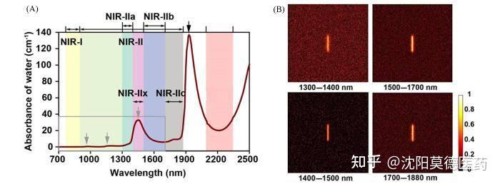 【NIR-II近红外二区成像】近红外二区小动物活体成像在肿瘤诊疗中的应用综述 - 知乎