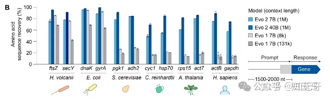 Evo2：跨生命领域的基因组“造物主”模型 - 知乎