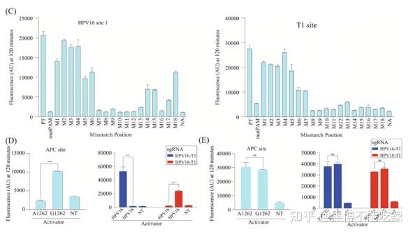 CRISPR-Dx技术mini-review - 知乎