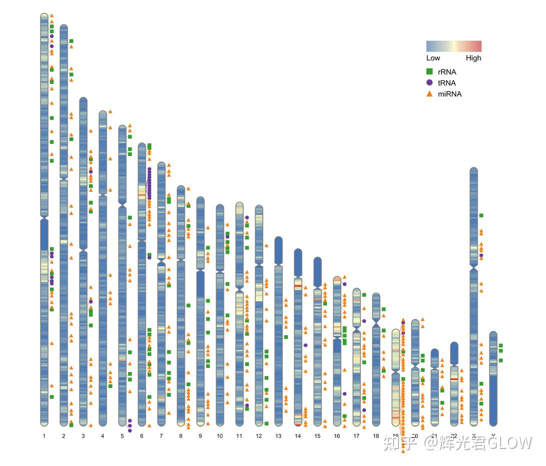 生信软件5 - RIdeogram包绘制染色体密度图 - 知乎
