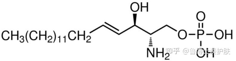 S1PR2是维持皮肤屏障稳态的关键蛋白 - 知乎