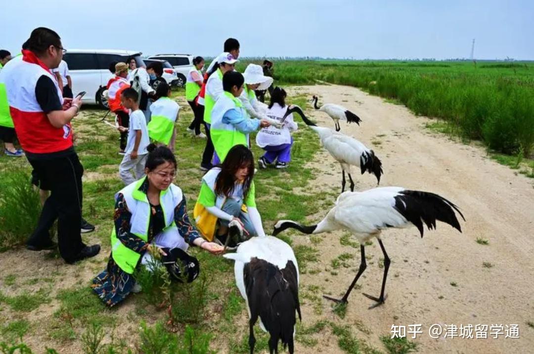 国内最详细OSSD介绍——OSSD选课 - 知乎