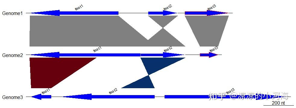genoPlotR绘制基因组结构（Part III 添加结构比较对象） - 知乎