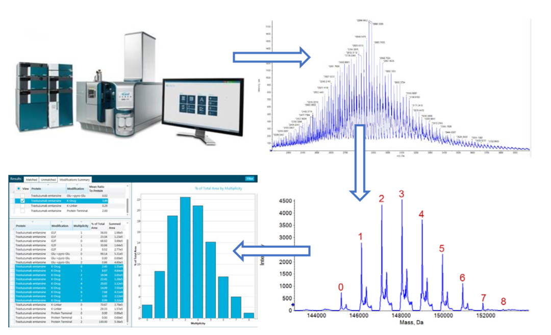 11-曜享干货 | ADC药物质量研究系列（一）MS-DAR值分析平台方法加速ADC药物工艺开发进程 - 知乎