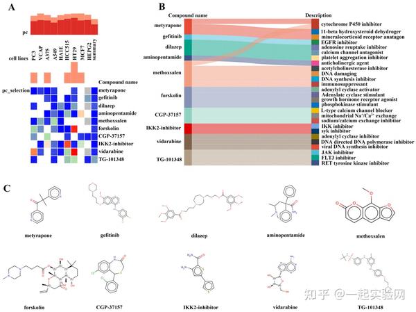 8+！基于综合生物信息学分析和机器学习筛选慢性肾病与钙化性主动脉瓣疾病相关的免疫相关分泌蛋白 - 知乎