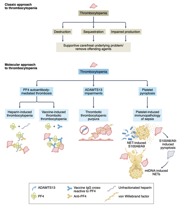 Nature最新大子刊丨脓毒症-血小板-GSDMD-NETs - 知乎