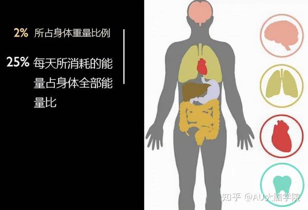 深度解密:爱因斯坦的大脑为什么会比一般人小170g却更聪明? 知乎