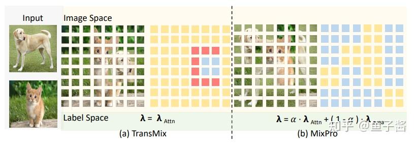 肝了190+篇视觉Transformer（ViT）顶会论文！含2023年最新 - 知乎