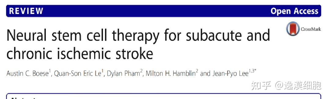 大鼠下丘脑神经干细胞（NSCs）分离培养_化工仪器网