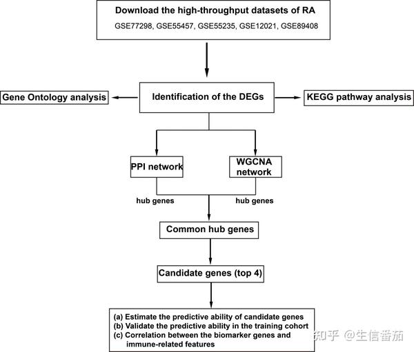 如何快速筛选关键基因？可以试试PPI网络 +WGCNA，外加免疫浸润分析，直接搞定4分+纯生信文章！ - 知乎