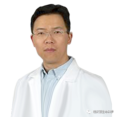 《Cell》《Nature》论文作者Ph.D. ZHEN ZHAO新研究分享 - 知乎