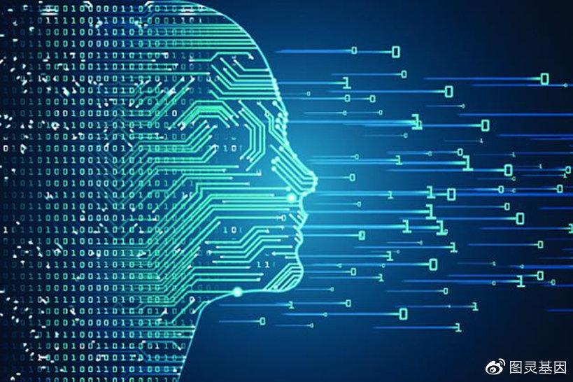 Nat Comm | 三维卷积神经网络重建头颈部CTA图像 - 知乎