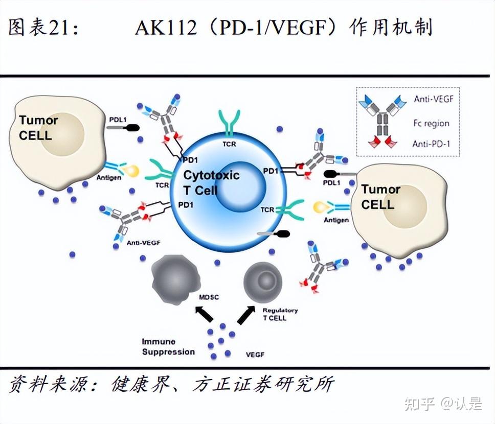康方生物研究报告：深耕源头创新，双抗龙头乘势而起 - 知乎