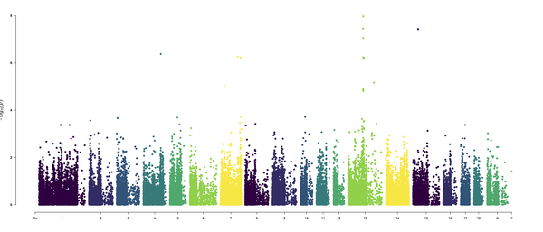 🤣 CMplot | 完美复刻Nature上的曼哈顿图（一） - 知乎