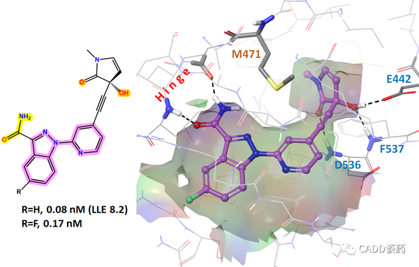 SBDD例子 -- Genentech的NIK抑制剂 - 知乎