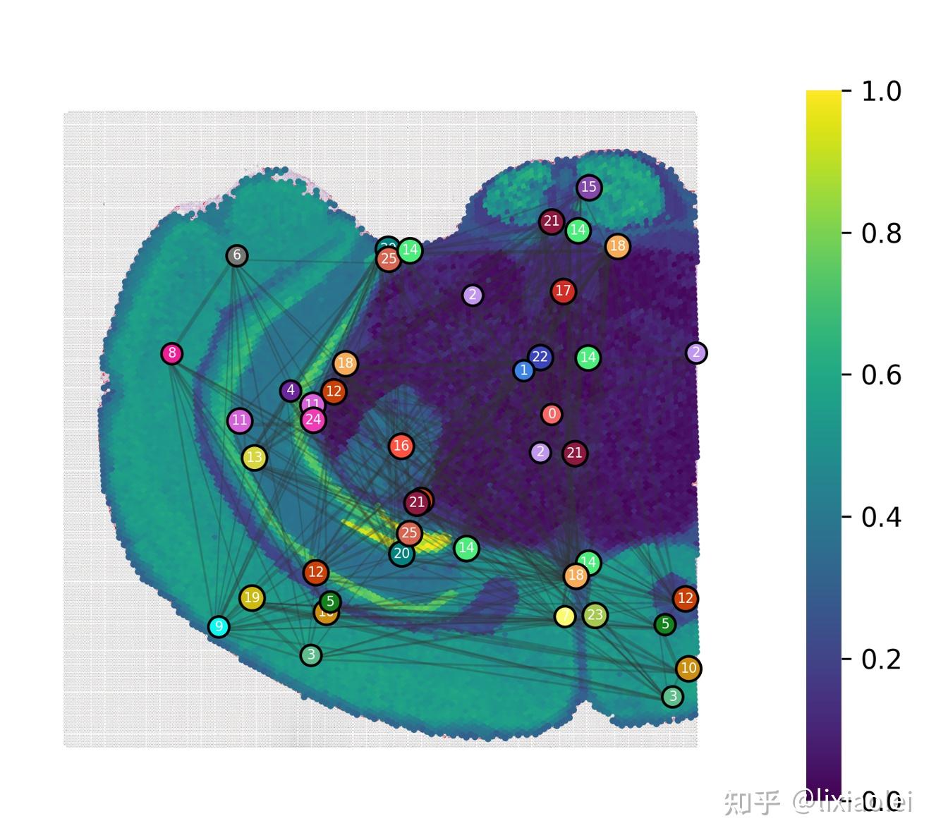 使用stLearn对百创S1000空间转录组数据做空间轨迹分析 - 知乎