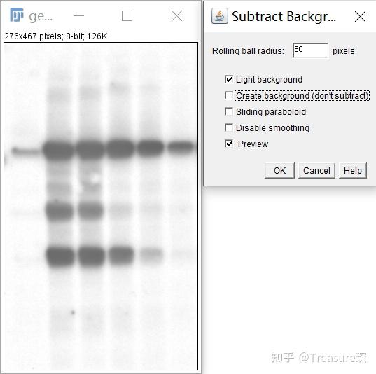ImageJ实用技巧——Western Blot定量分析深入探究(定量分析篇) - 知乎