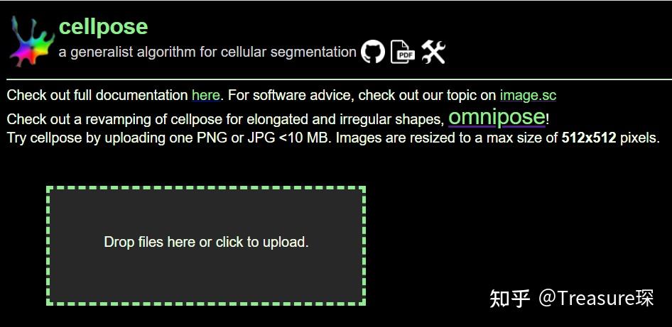 ImageJ实用教程——基于cellpose的不规则细胞分割（案例分析篇） - 知乎