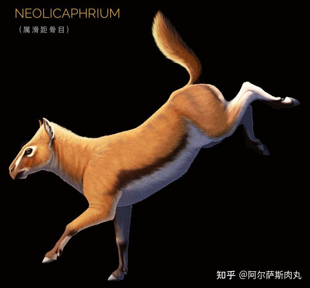 「Rise of Mammals丨兽族崛起 10」巨爪时代 - 知乎