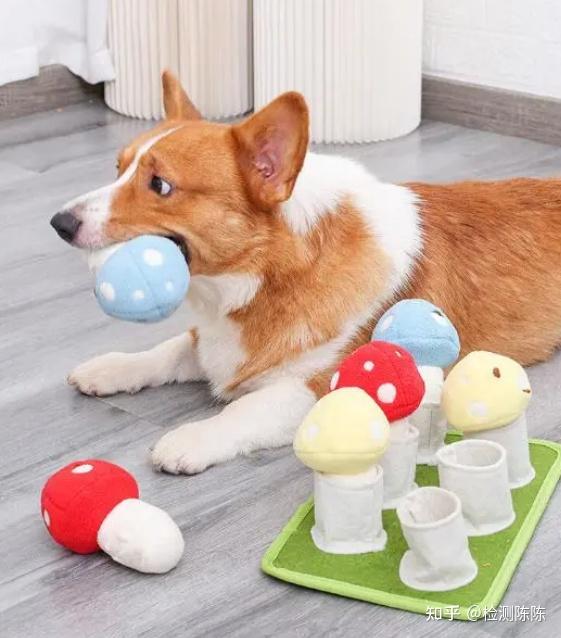 宠物玩具出口欧盟CE认证EN71标准 - 知乎