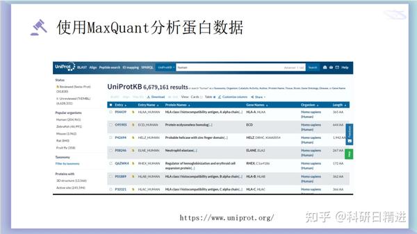 使用MaxQuant分析蛋白数据 - 知乎