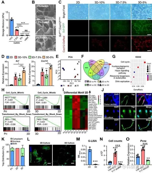 预防血液病 逆转衰老！Cell Stem Cell：实现衰老造血干细胞的年轻化 - 知乎