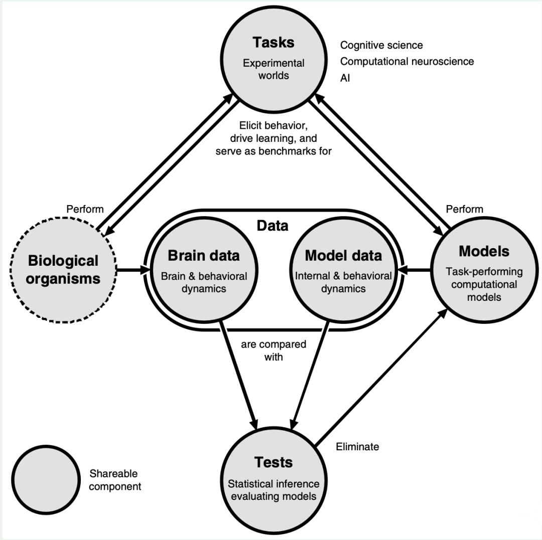 文献｜Nature Neuroscience：认知计算神经科学 - 知乎