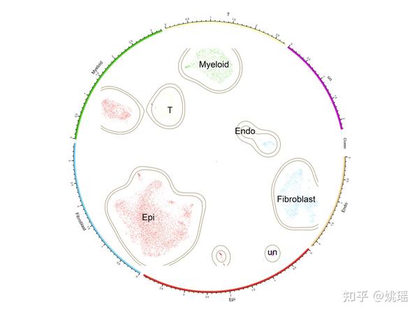 scRNA复现-惊艳的细胞注释umap图 - 知乎