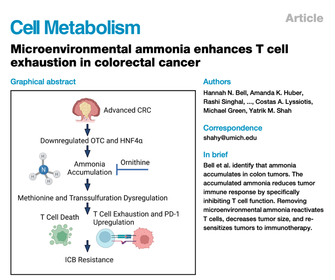 Cell Met | 微环境的氨可诱导结直肠癌的T细胞衰竭 - 知乎